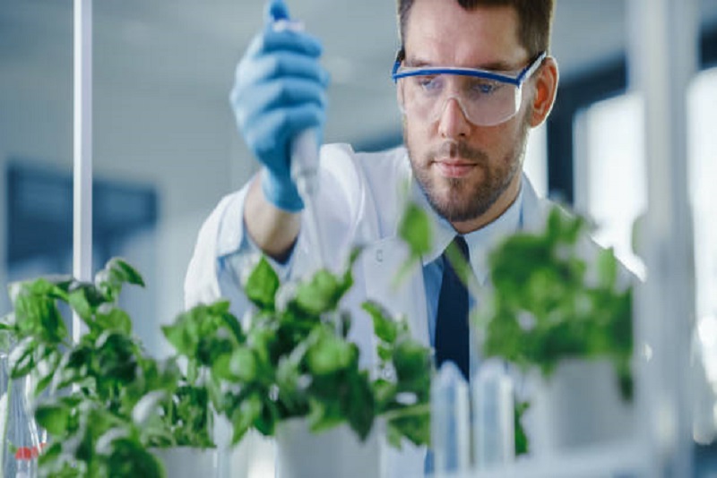 Blogs: HITS - Holistic International Testing Services